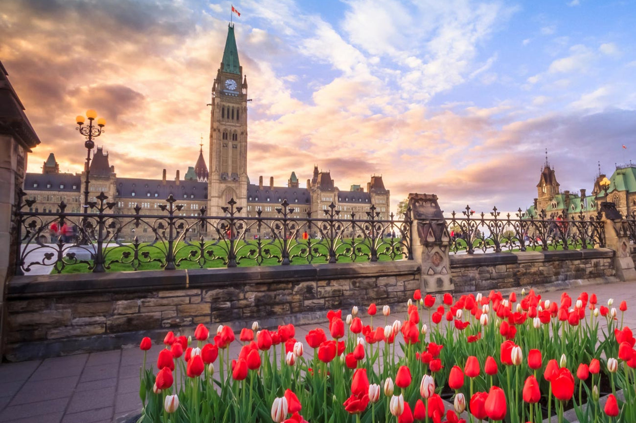 Optometrist & eye exam in Ottawa | New Look