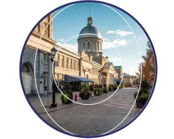 Single Vision & Progressive Lenses | New Look